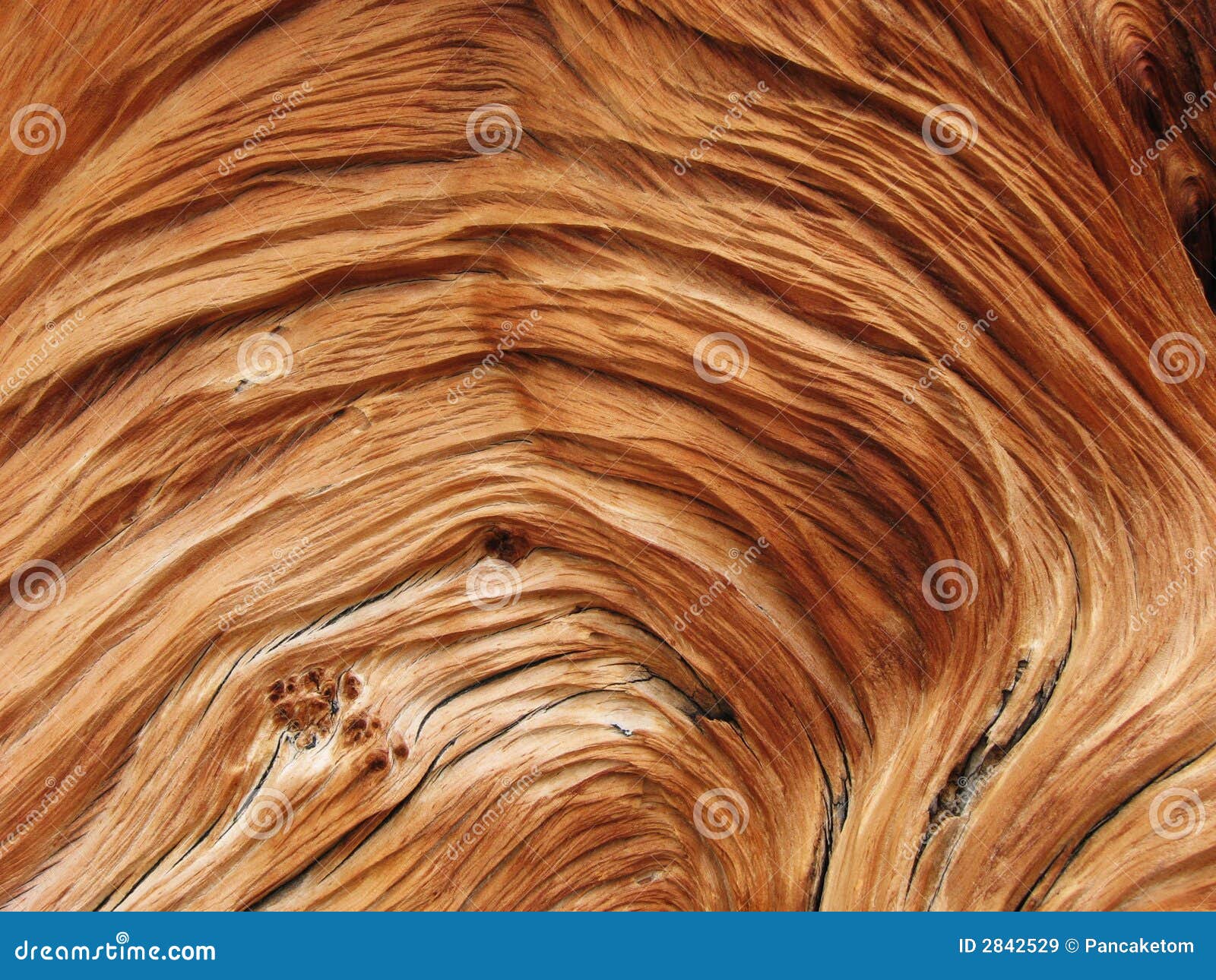 Twisted wood grain stock image. Image of texture, sand - 2842529