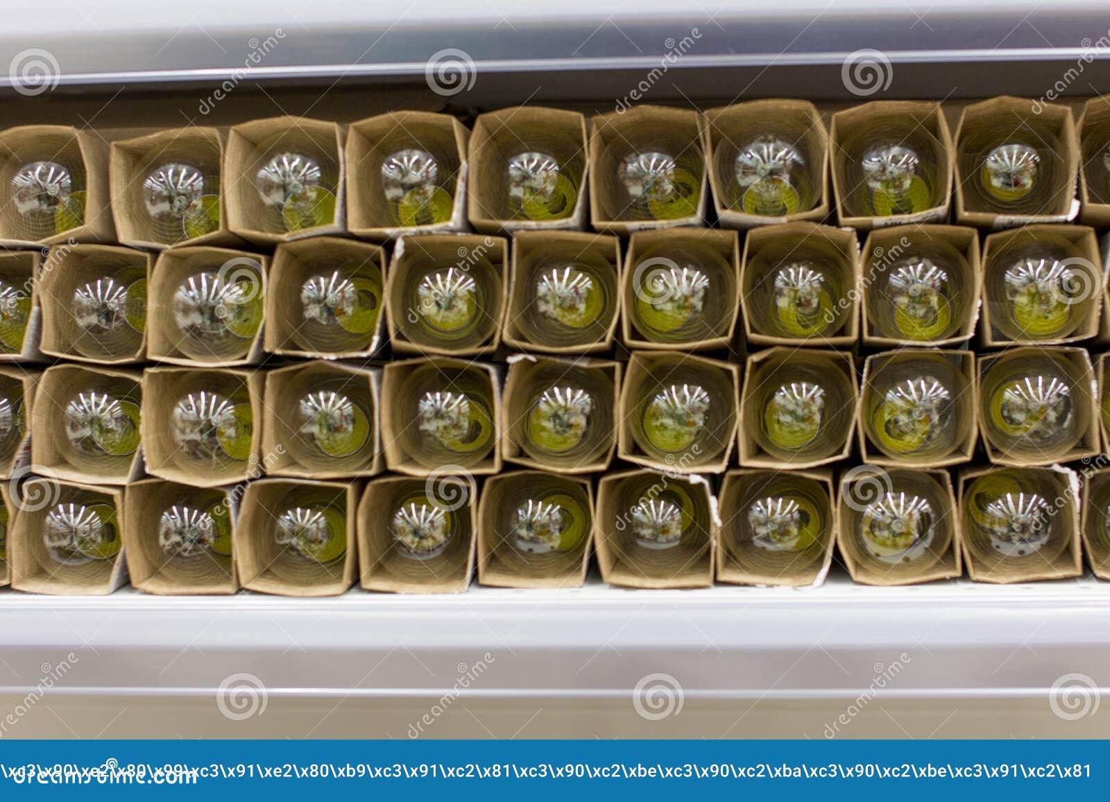 Twisting Light Bulbs Arranged in a Row on a Shelf Stock Image - Image ...