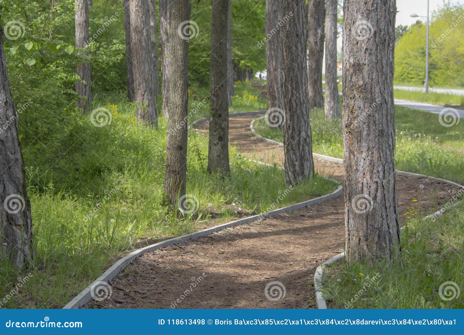 Pathway Through The Trees Royalty-Free Stock Photography ...