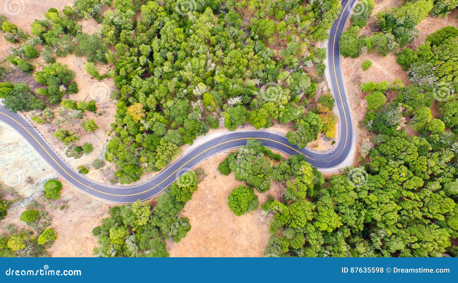 Twisting road among trees stock photo. Image of road - 87635598