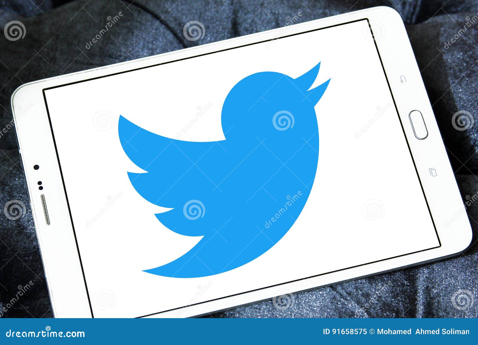 Twitter-Logo redaktionelles bild. Bild von geschäft, netze - 91658575