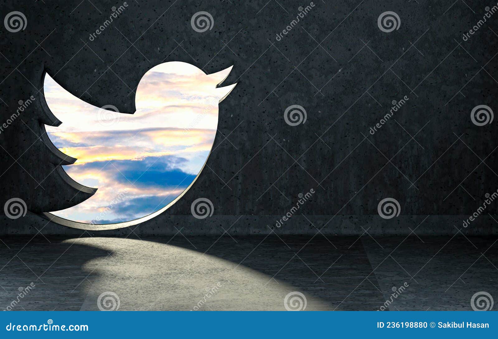 Twitter Social Icon Showing Inside of Interior with Sunray Shiny ...