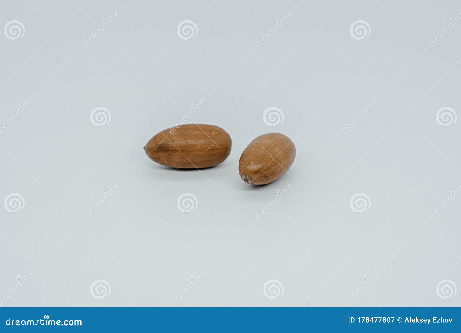 Two Acorns on a Light Background Close-up Stock Image - Image of ...