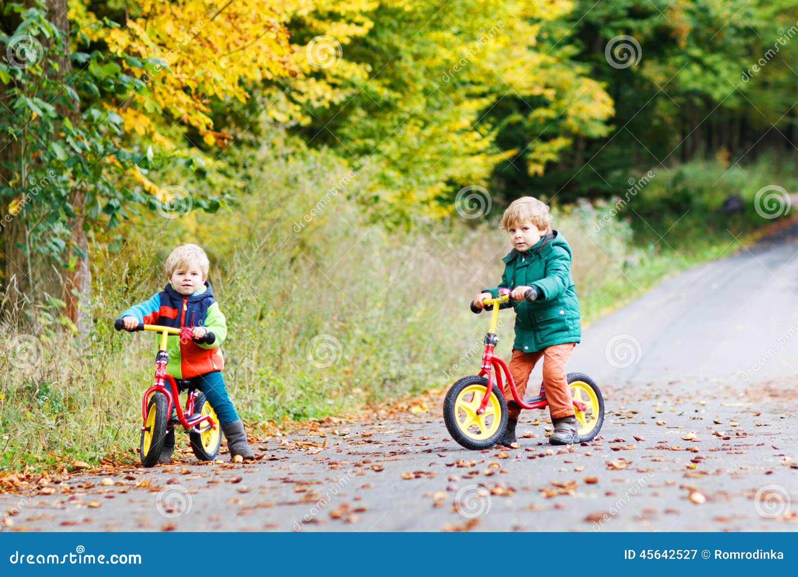 Two Adorable Boys Driving on Bikes in Autumn Forest Stock Image - Image ...