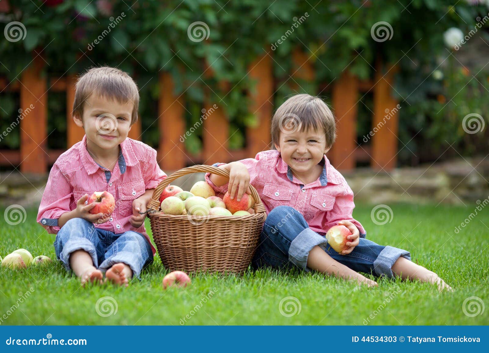 Two Adorable Boys, Sitting on the Grass, Eating Apples Stock Image ...