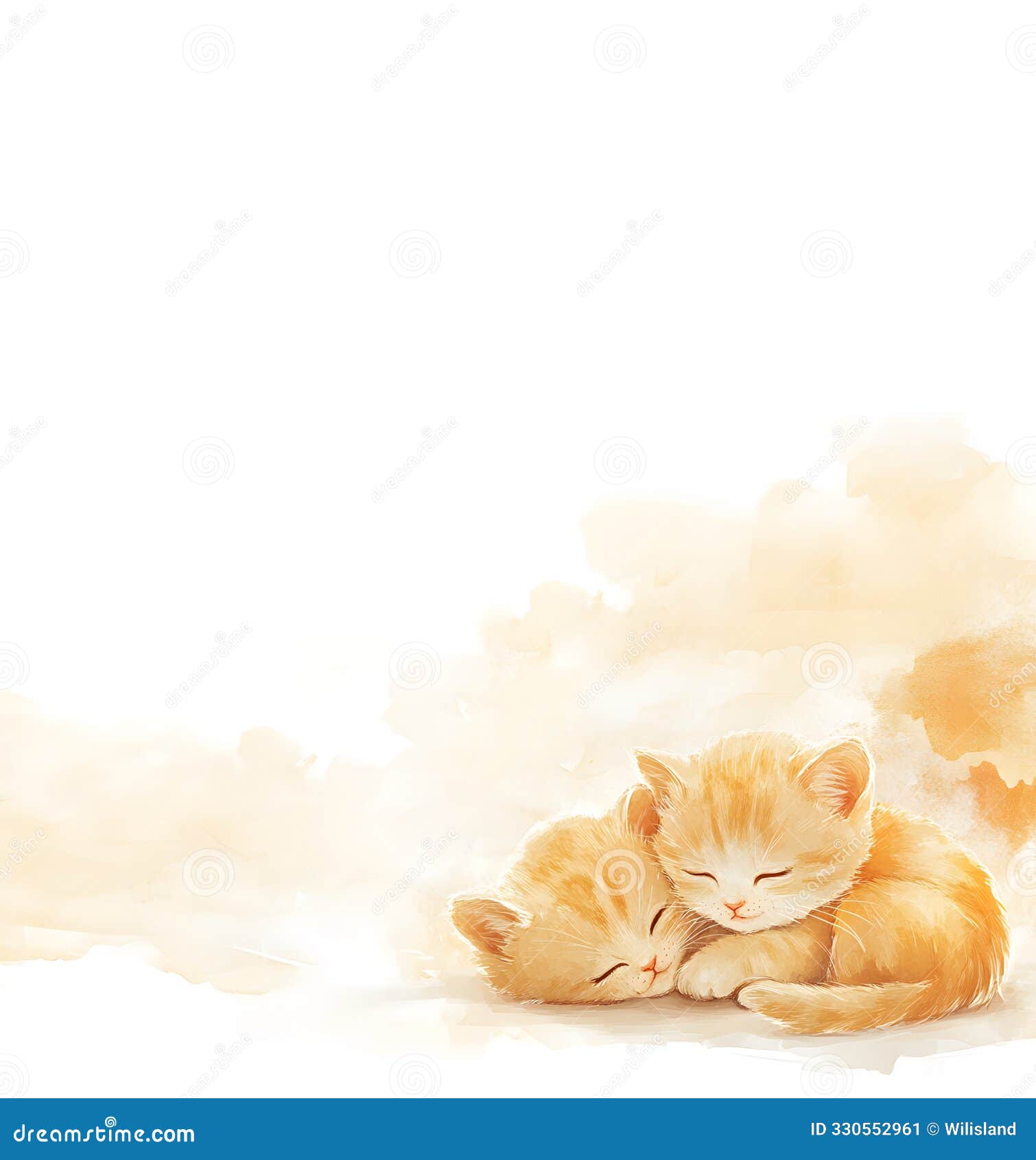 Two Adorable Kittens Cuddling And Sleeping On A White Background ...