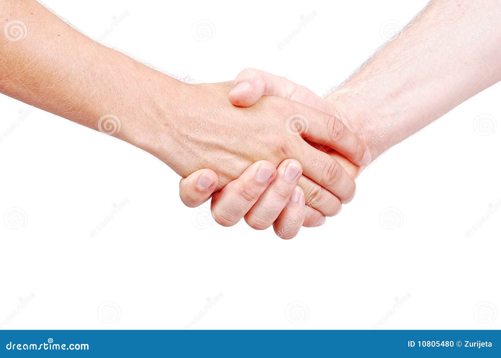 Two adult male hands stock photo. Image of team, deal - 10805480