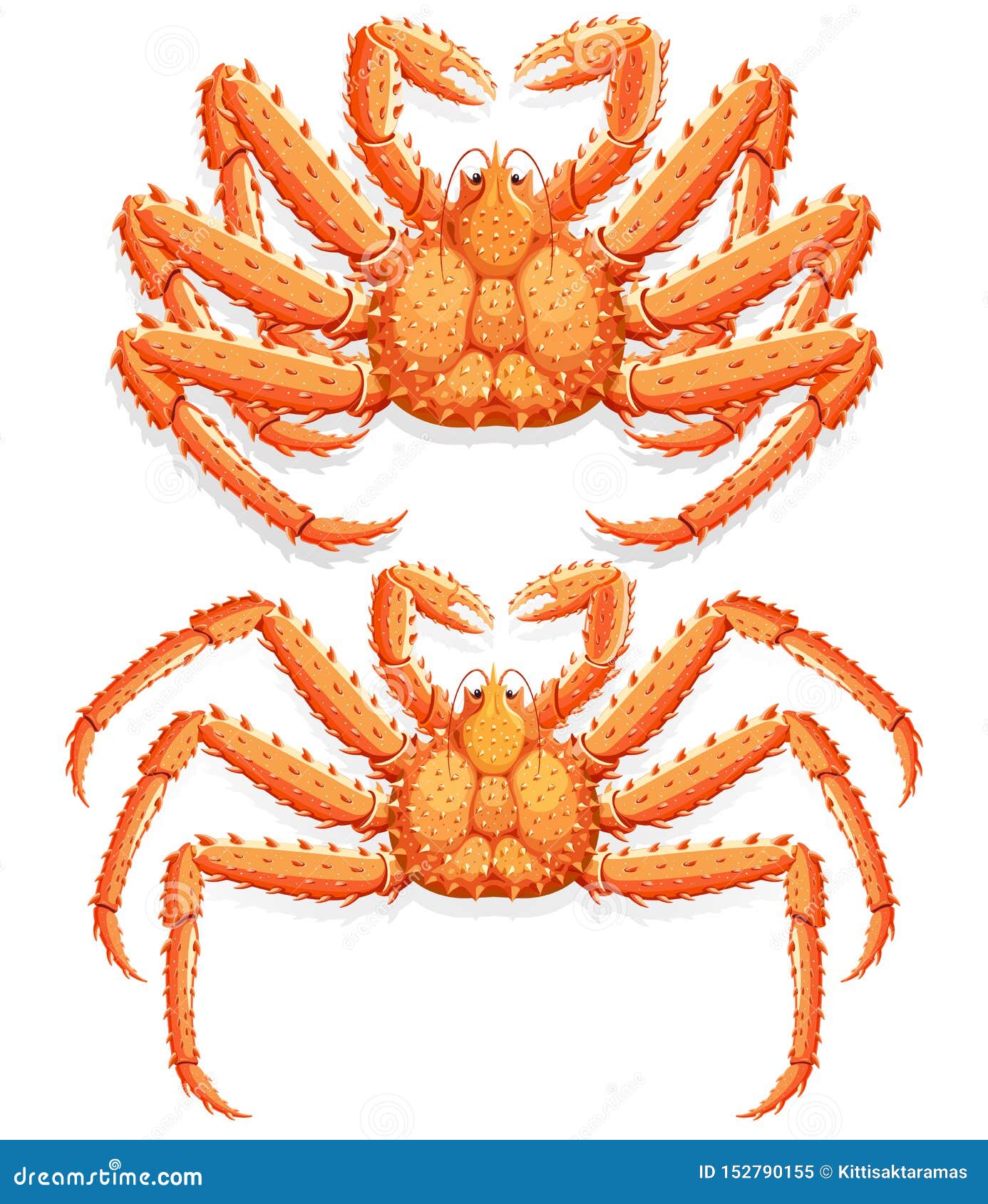 Crab Vector Set. Hand Drawn Illustrations. | CartoonDealer.com #98041408