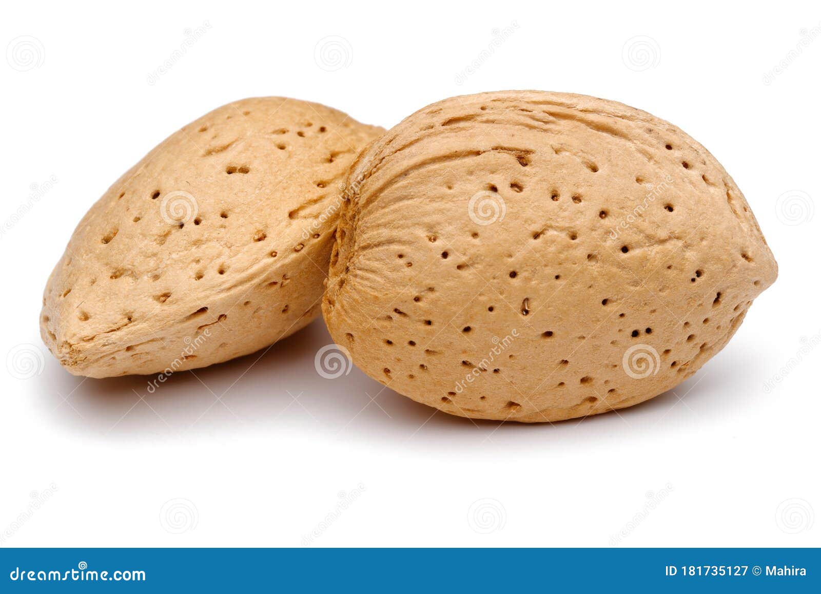 Two Almonds Isolated on White Stock Image - Image of close, macro ...