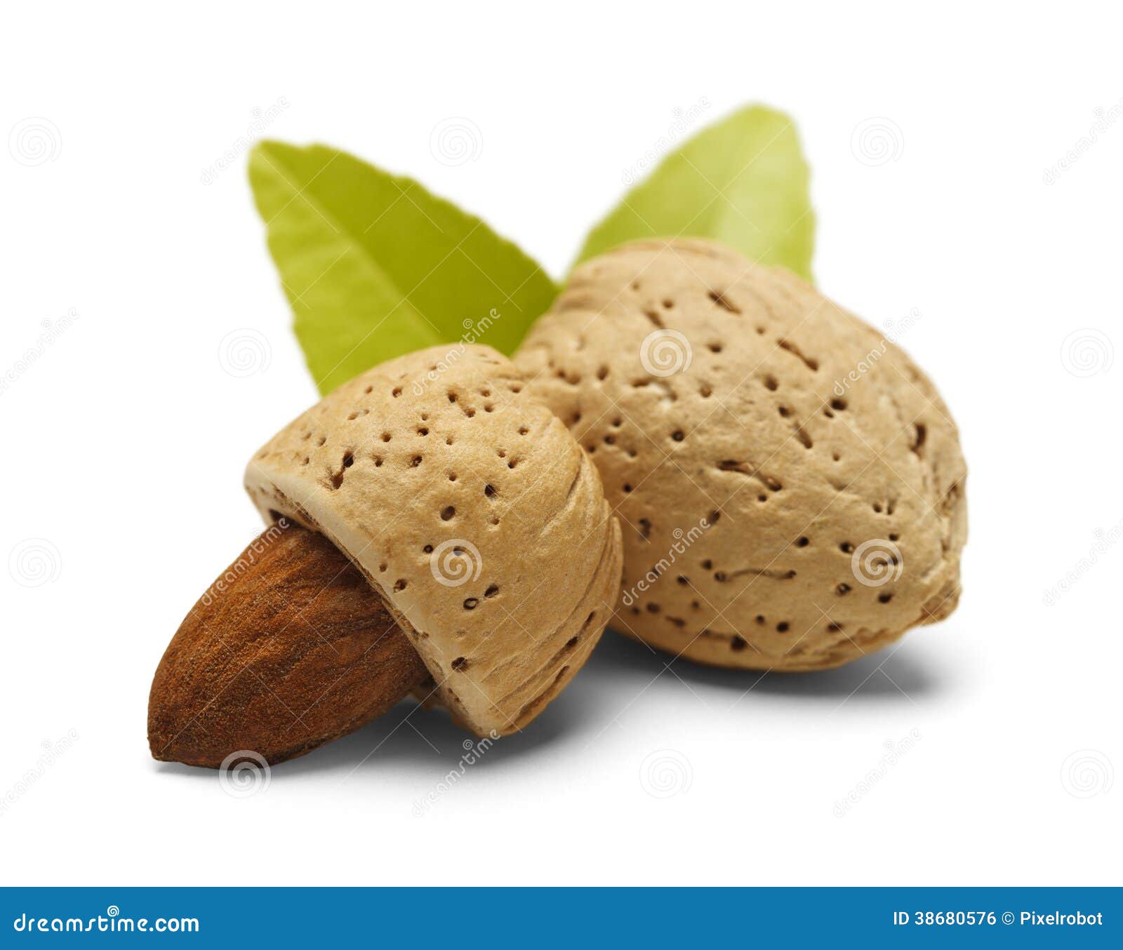 Two Almonds stock photo. Image of ingredient, leaf, background - 38680576