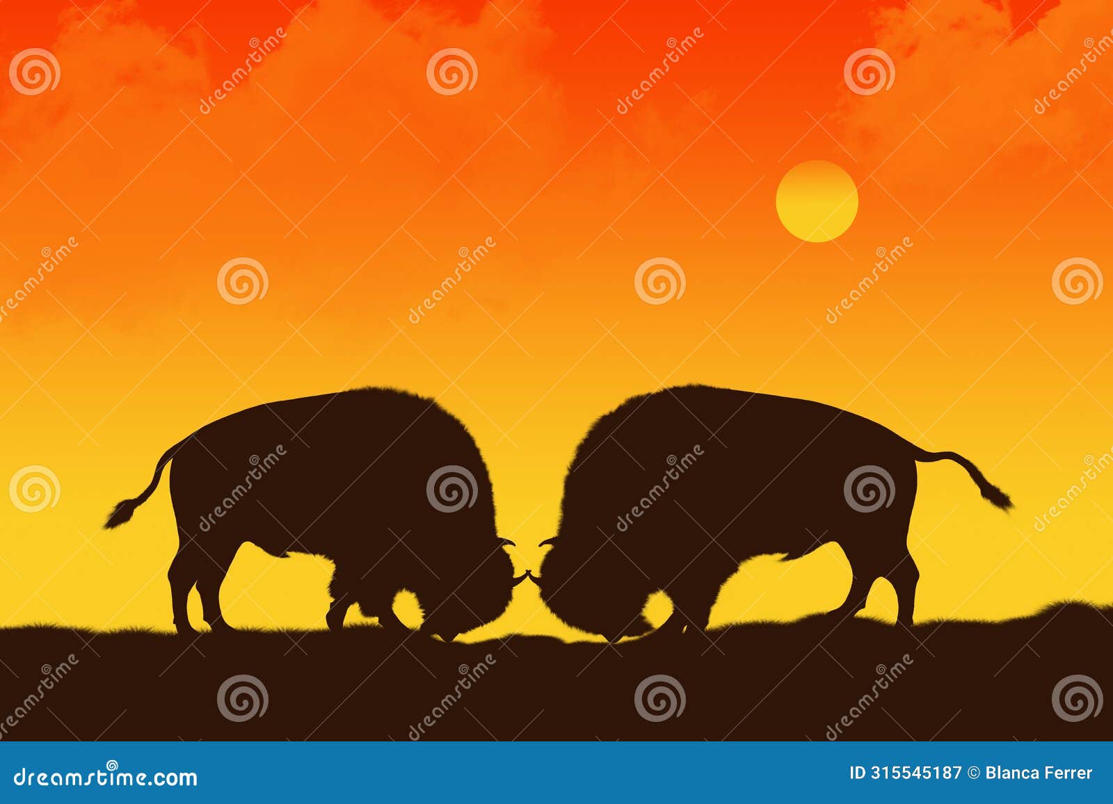 Two American Bison Fighting Outdoors at Sunset Stock Illustration ...