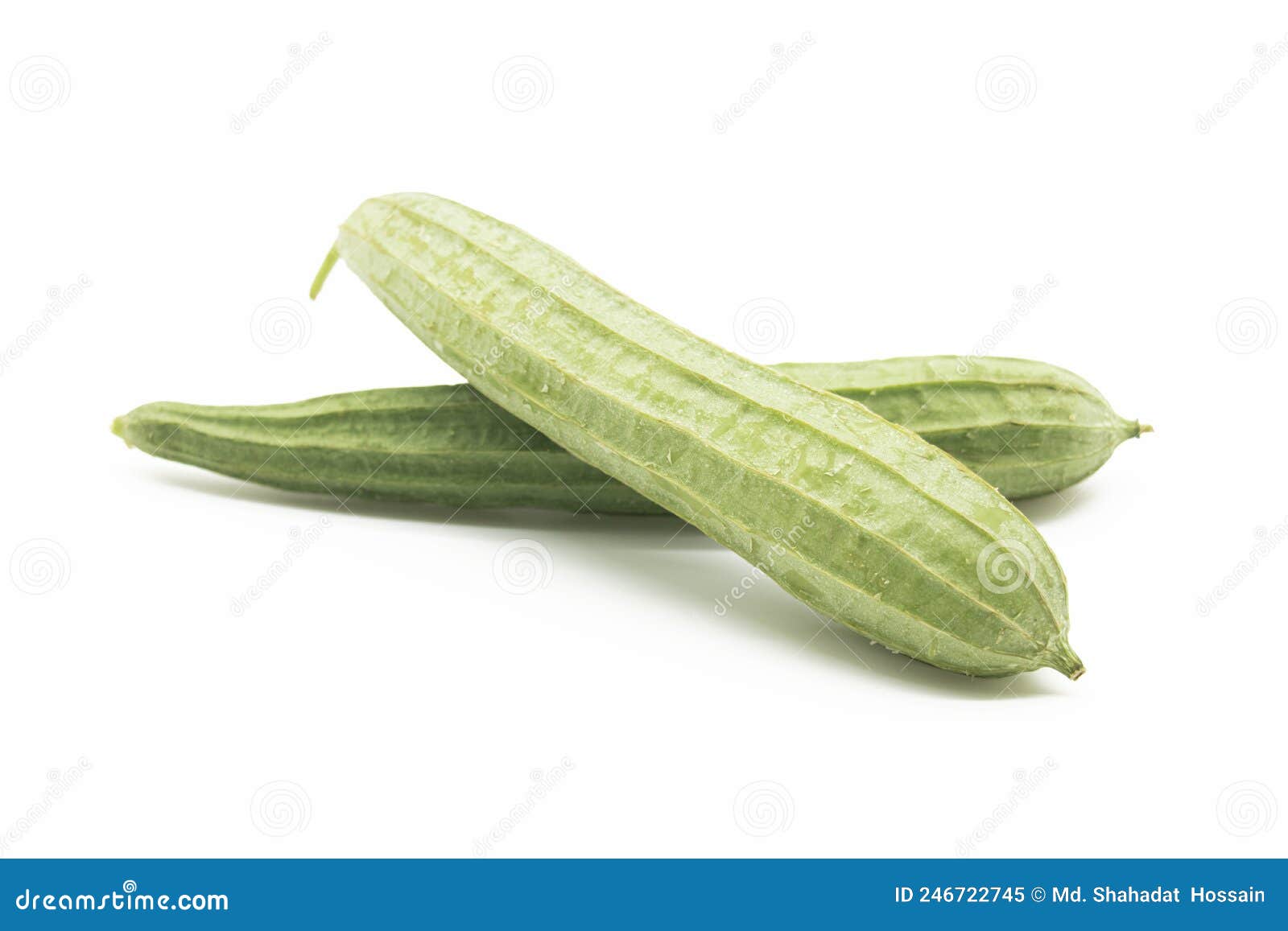 Luffa Ridge Gourd Chinese Okra Toree Sinkwa Vine Vegetable Food Turai ...