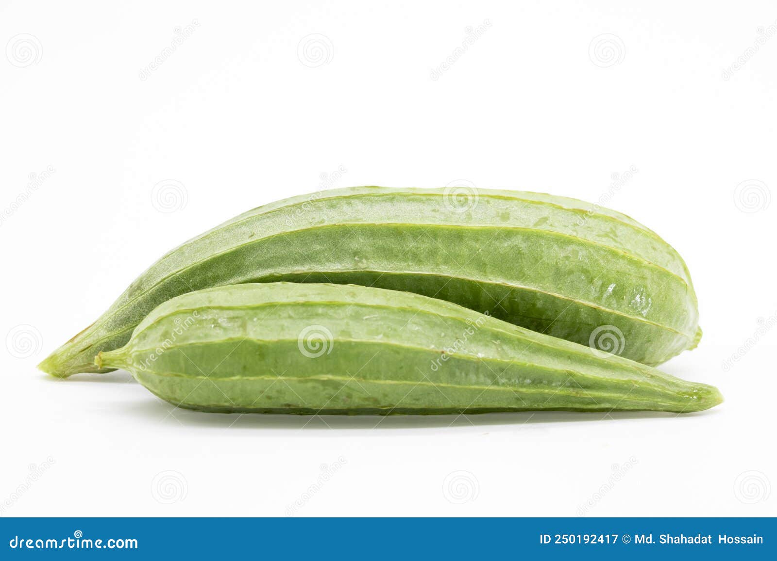 Luffa Ridge Gourd Chinese Okra Toree Sinkwa Vine Vegetable Food Turai ...