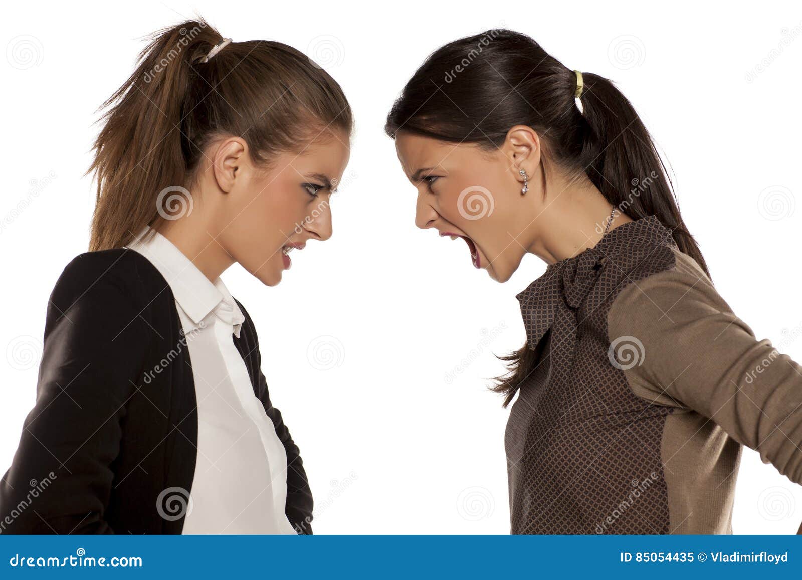 Two angry women stock image. Image of frustration, together - 85054435