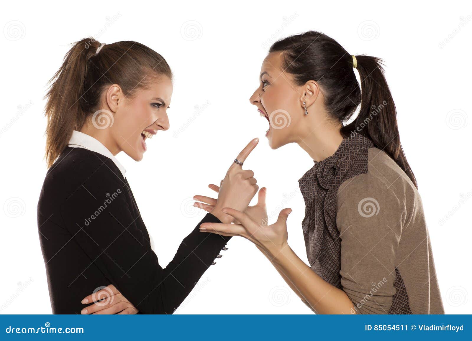 Two angry women stock image. Image of frustration, women - 85054511