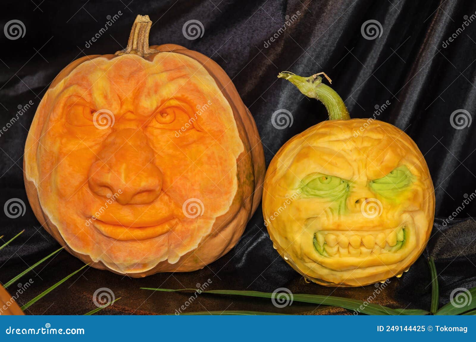 Anthropoid Entity Stock Photos - Free & Royalty-Free Stock Photos from ...