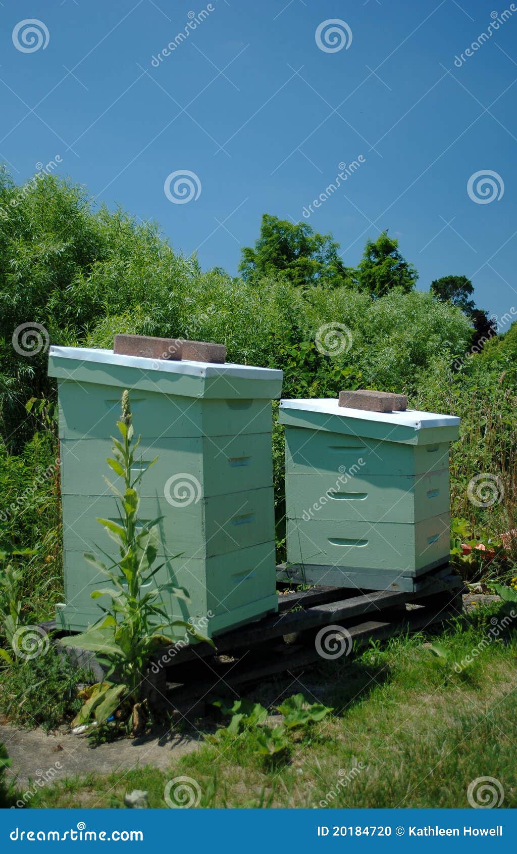 Two Apiaries for Beekeeping Stock Photo - Image of woods, horticulture ...