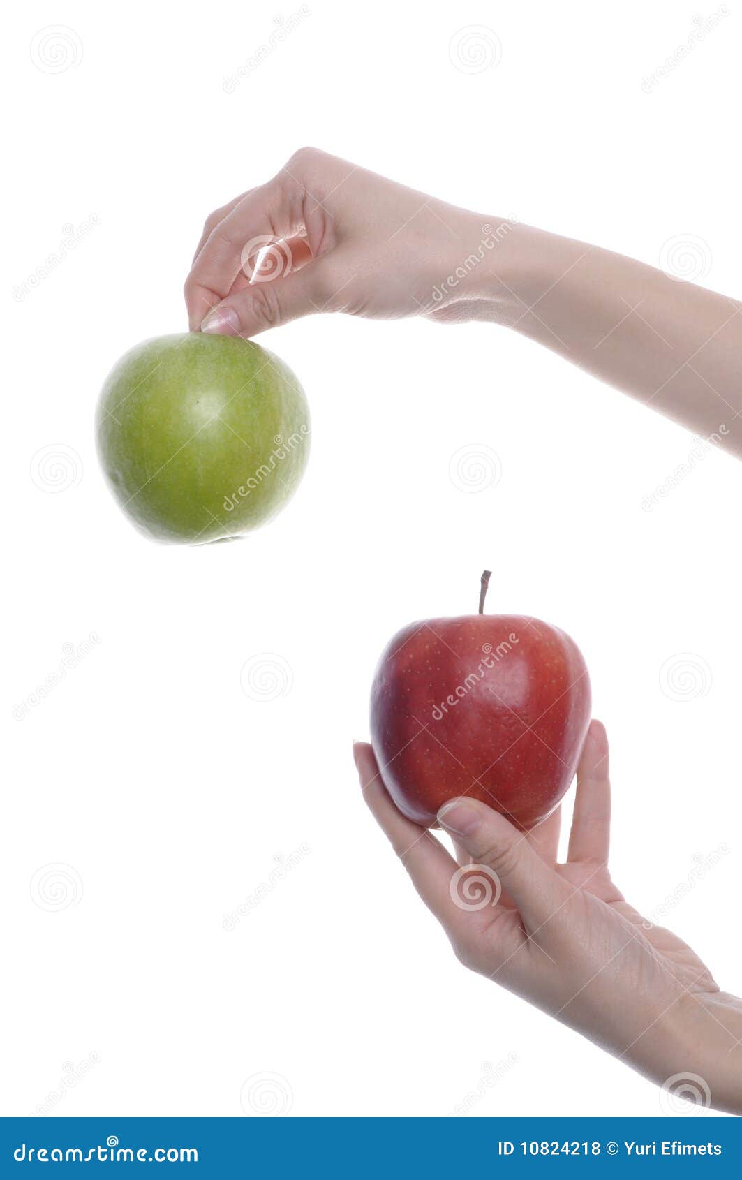 Two apple stock photo. Image of apple, coloured, variegated - 10824218