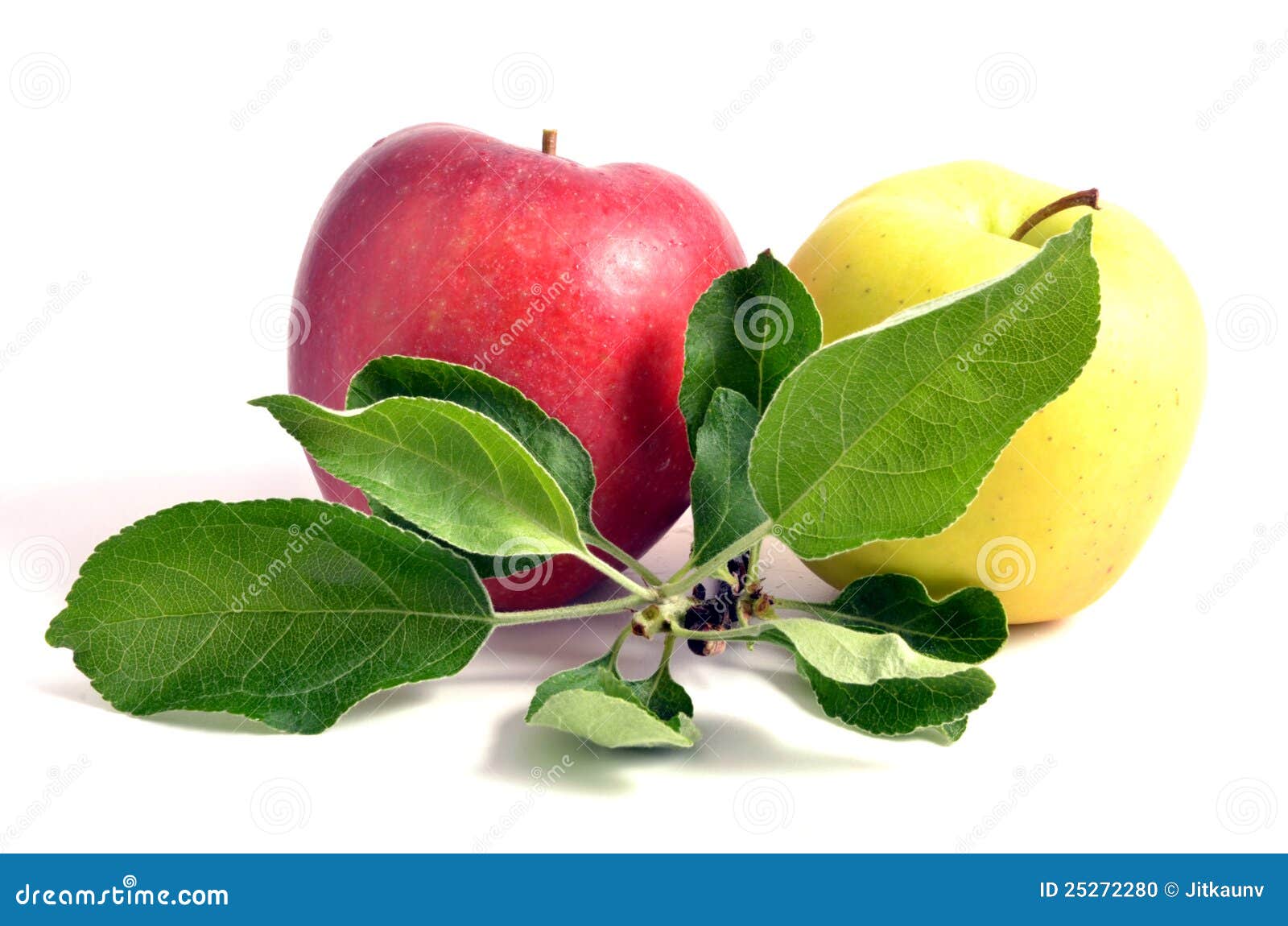 Two apple stock photo. Image of small, apple, fruit, yellow - 25272280
