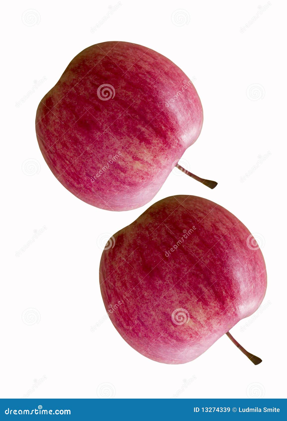 Two apples. stock image. Image of apple, white, fake - 13274339