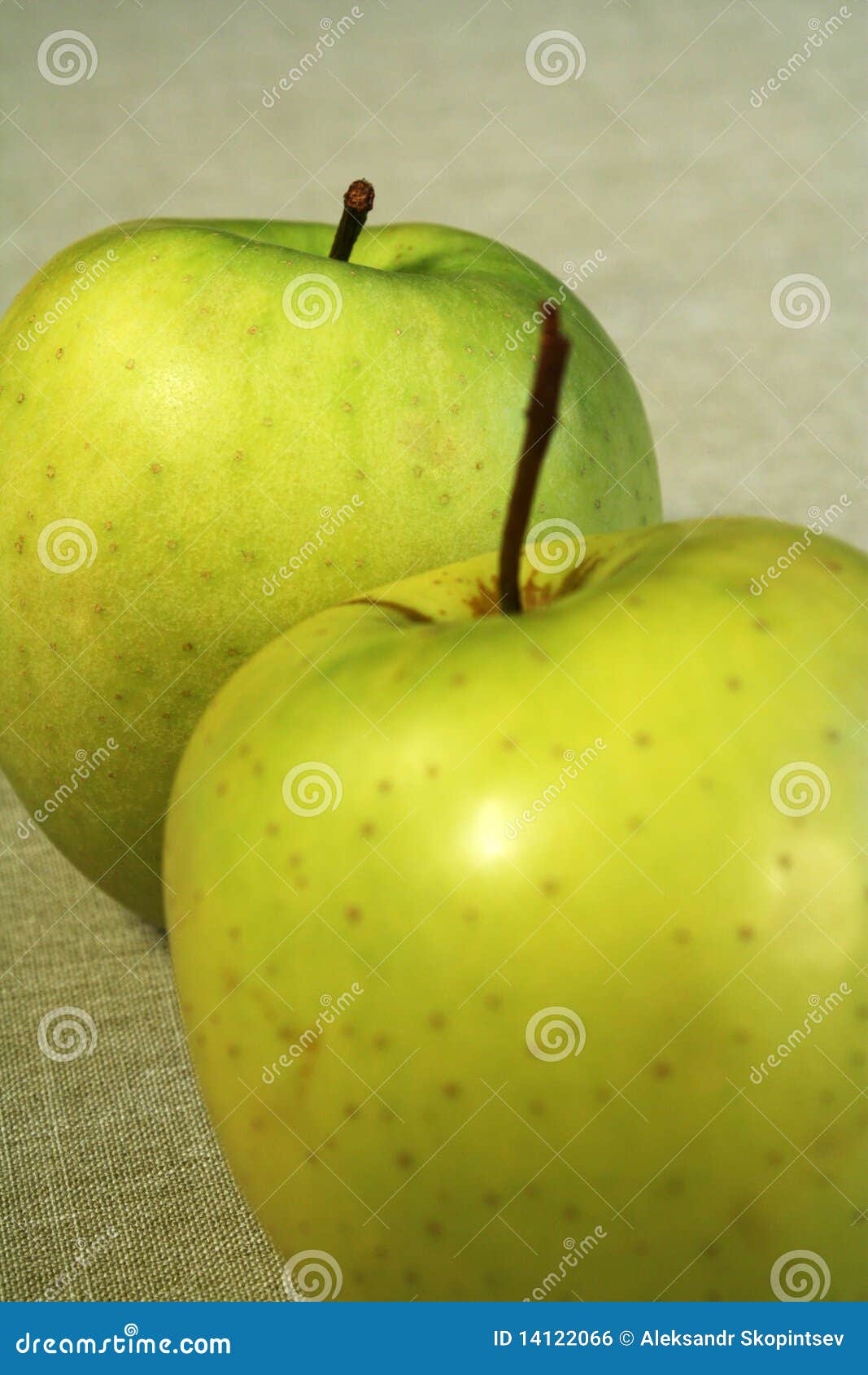 Two apples stock photo. Image of freshness, healthy, food - 14122066