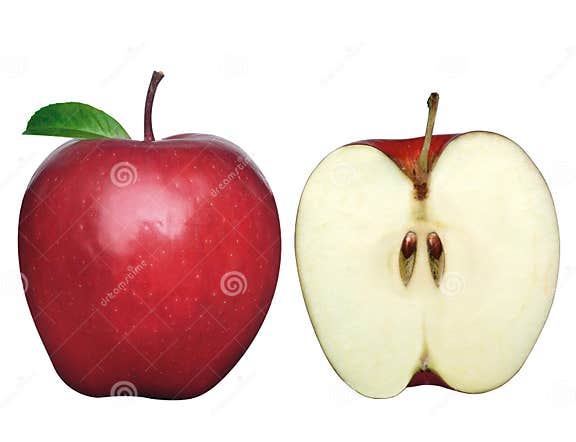 Two apples-2 stock photo. Image of cooking, diet, natural - 102086