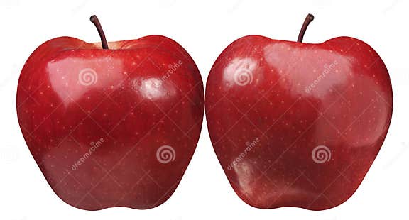 Two apples stock photo. Image of apples, healthy, fruit - 39604