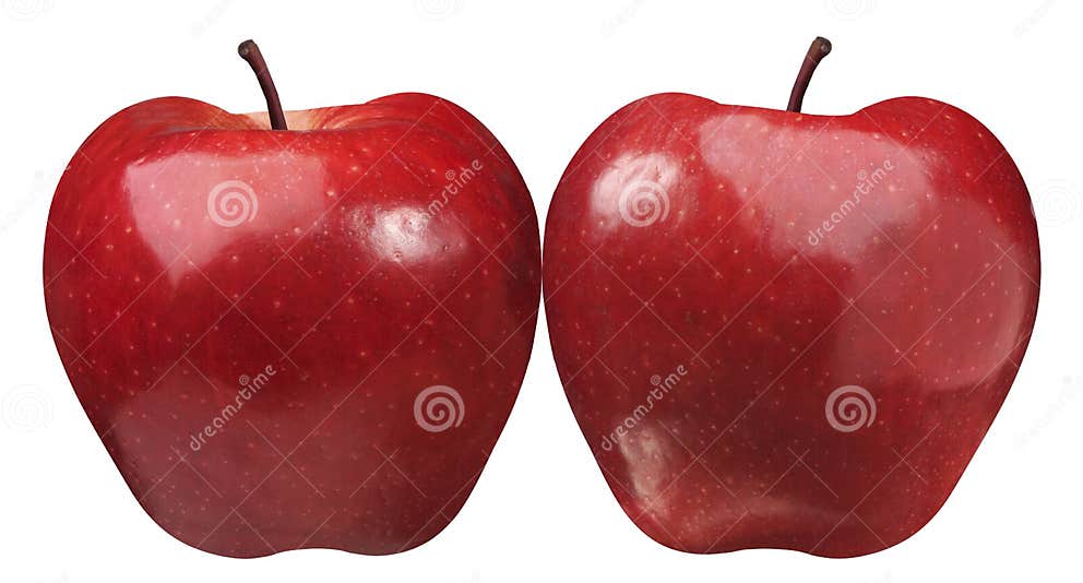 Two apples stock photo. Image of apples, healthy, fruit - 39604