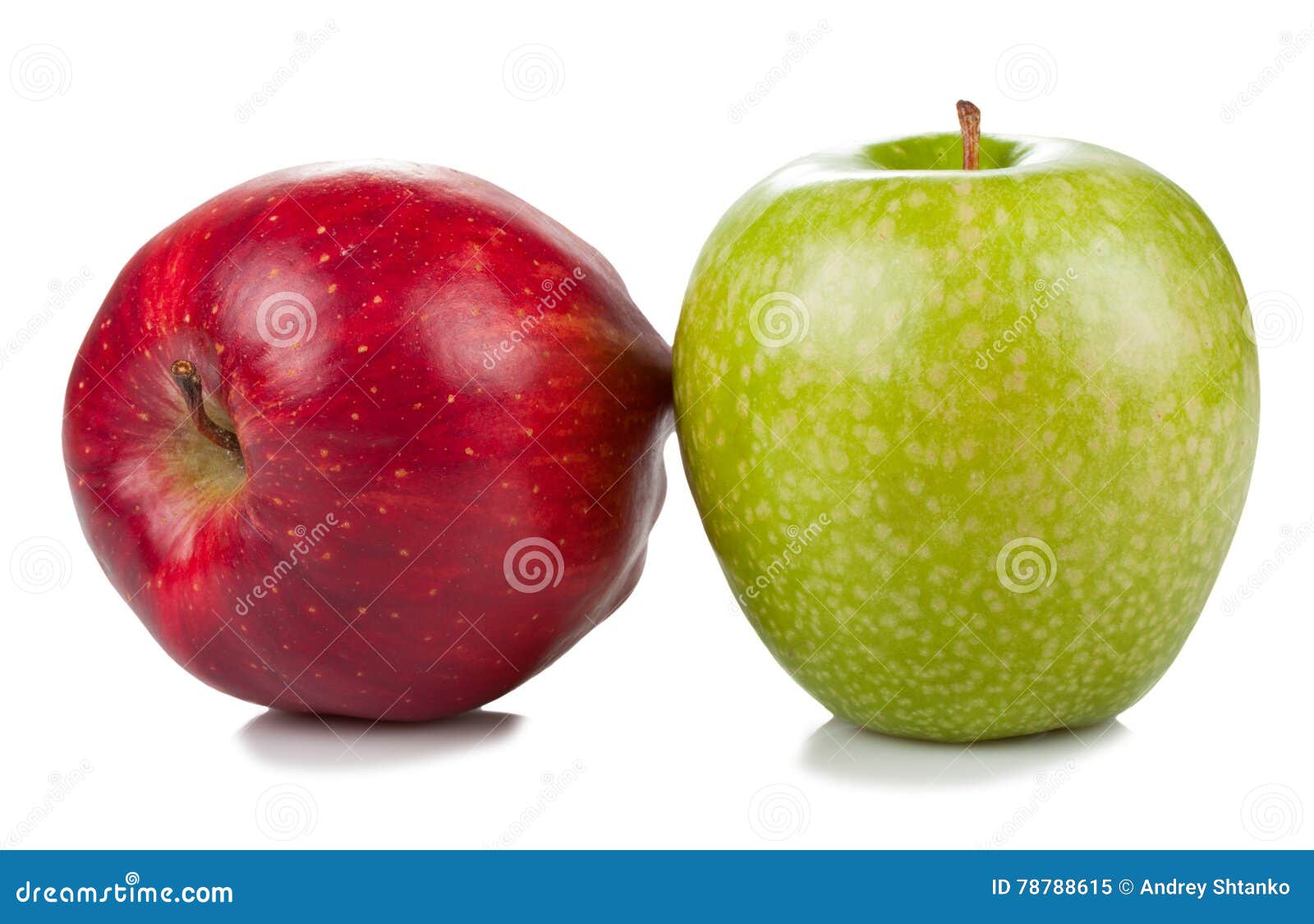 Two apples stock image. Image of sweet, ripe, white, apples - 78788615
