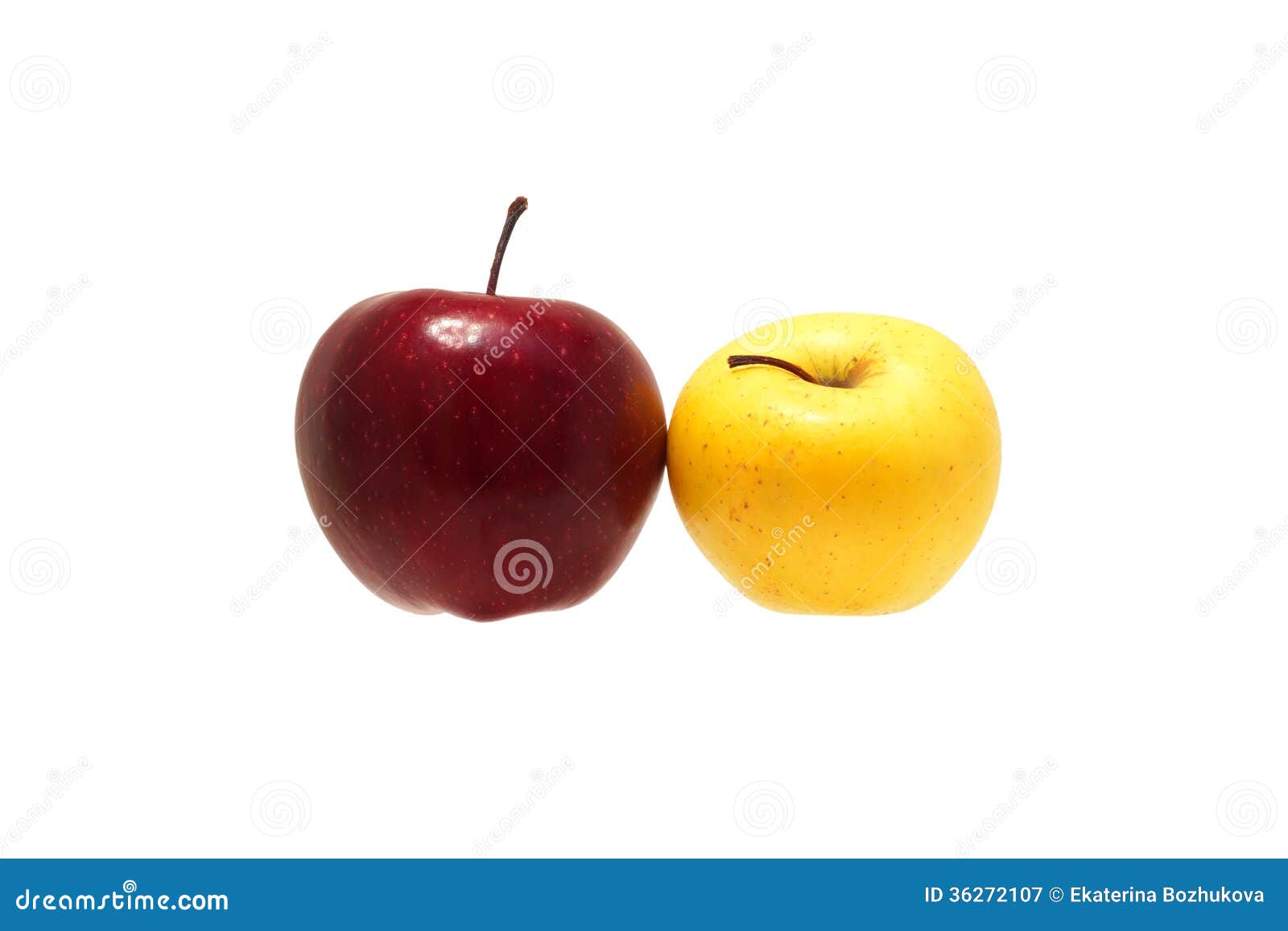 Two apples. Red and yellow stock image. Image of peel - 36272107