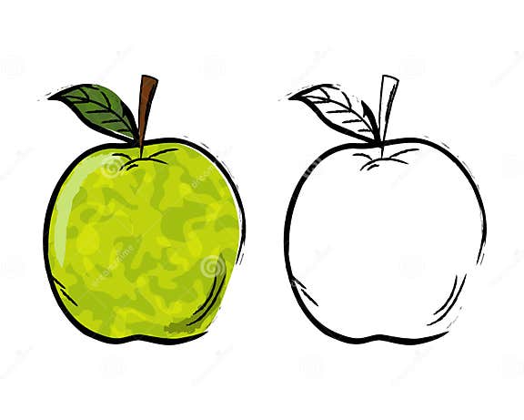 Two apples stock vector. Illustration of backgrounds - 56851430