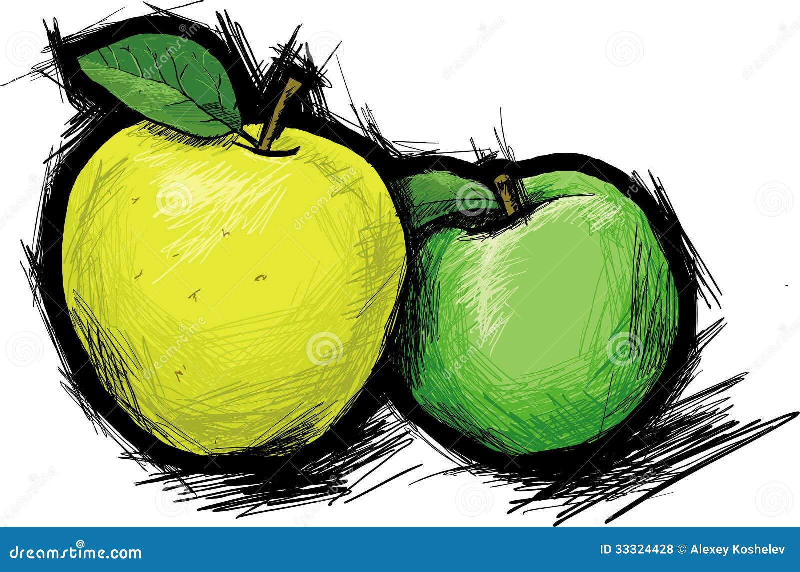 Two apples stock illustration. Illustration of color - 33324428