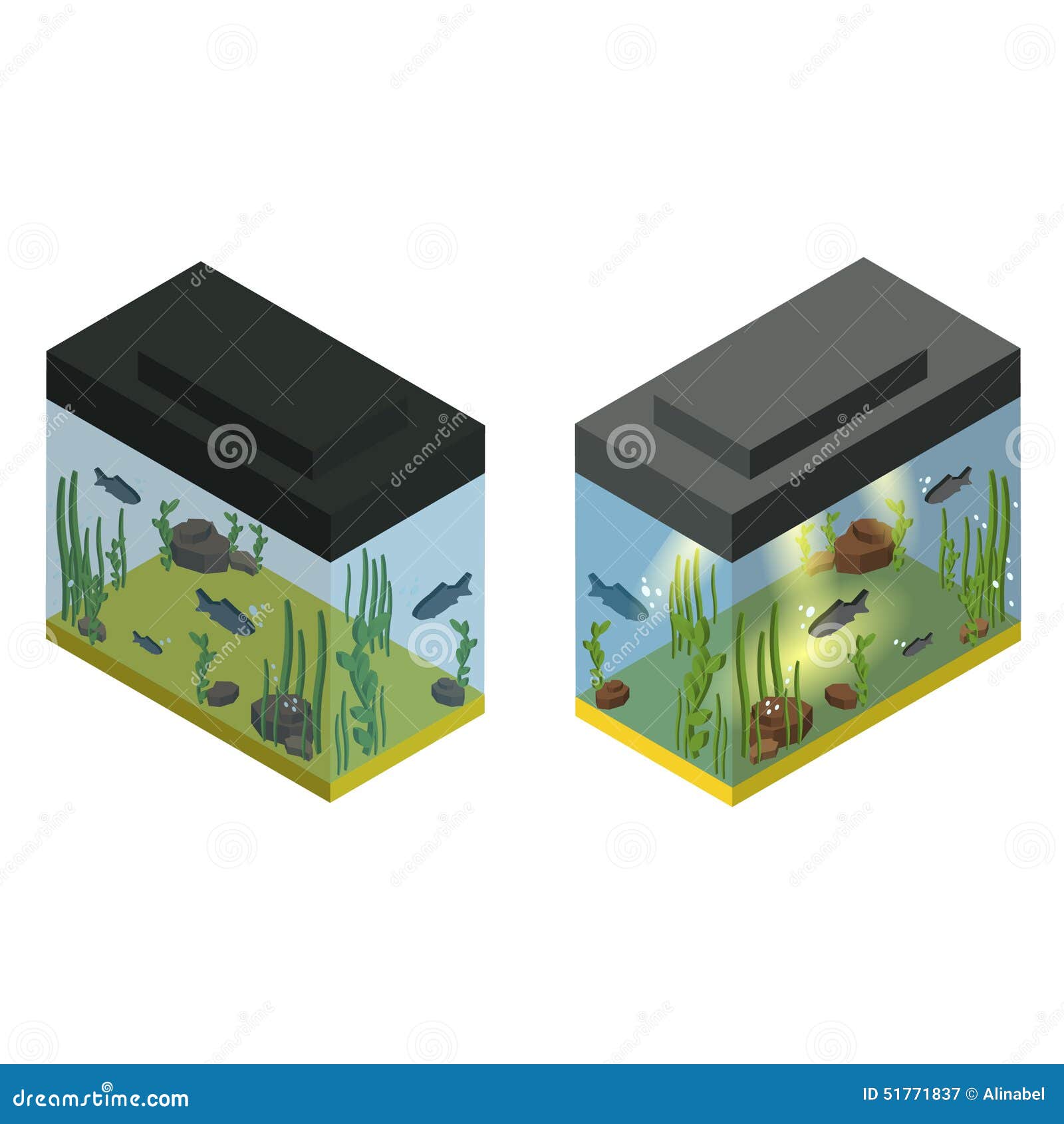 Two Aquariums in Isometric Projection Stock Vector - Illustration of ...