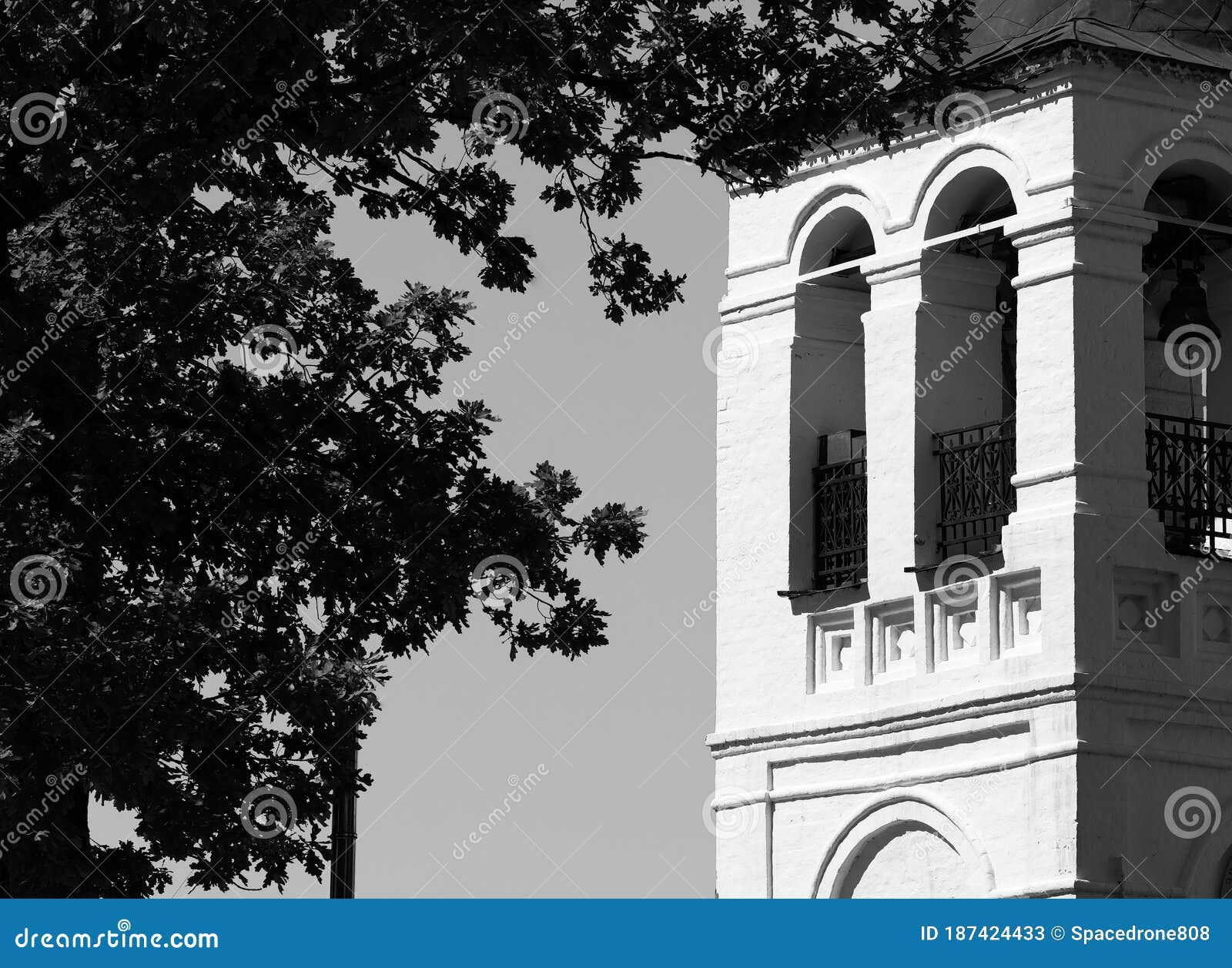 Two Arc Windows Covered with Tree Branches Background Stock Image ...