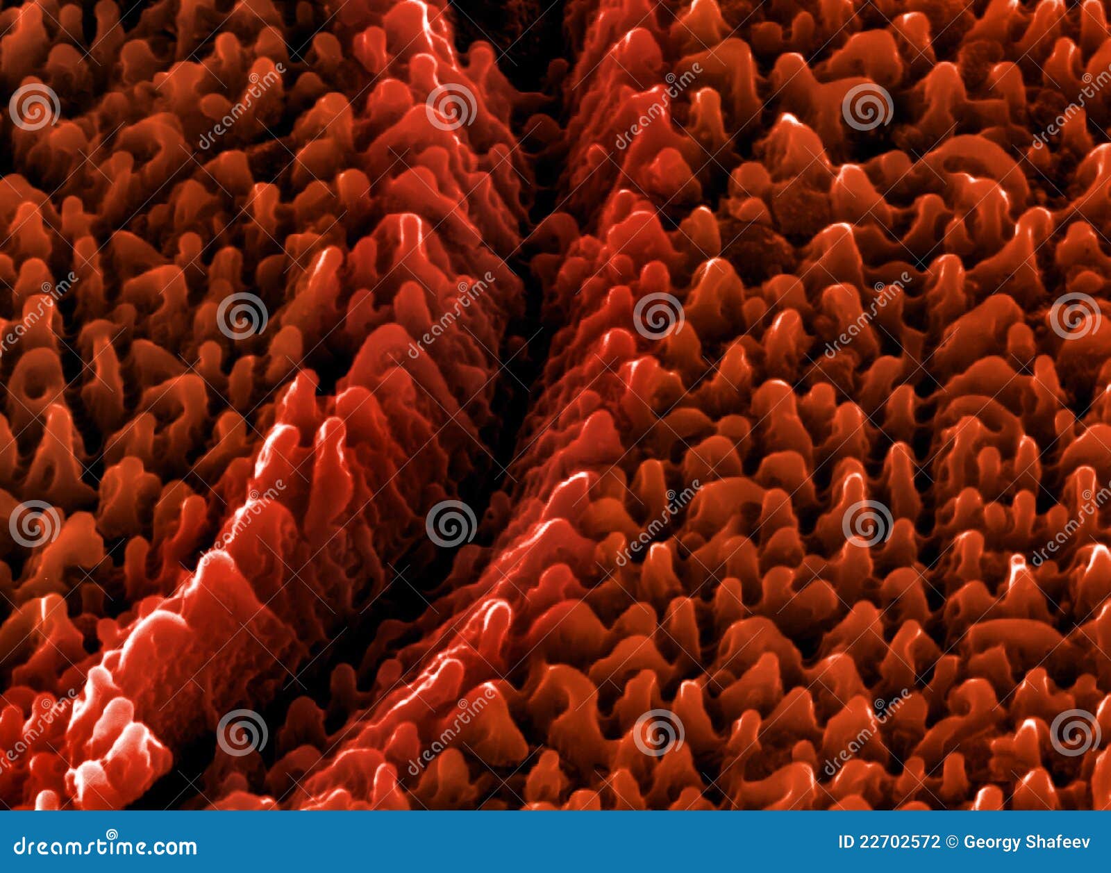 Two Arrays of Nanostructures Stock Photo - Image of micro, color: 22702572