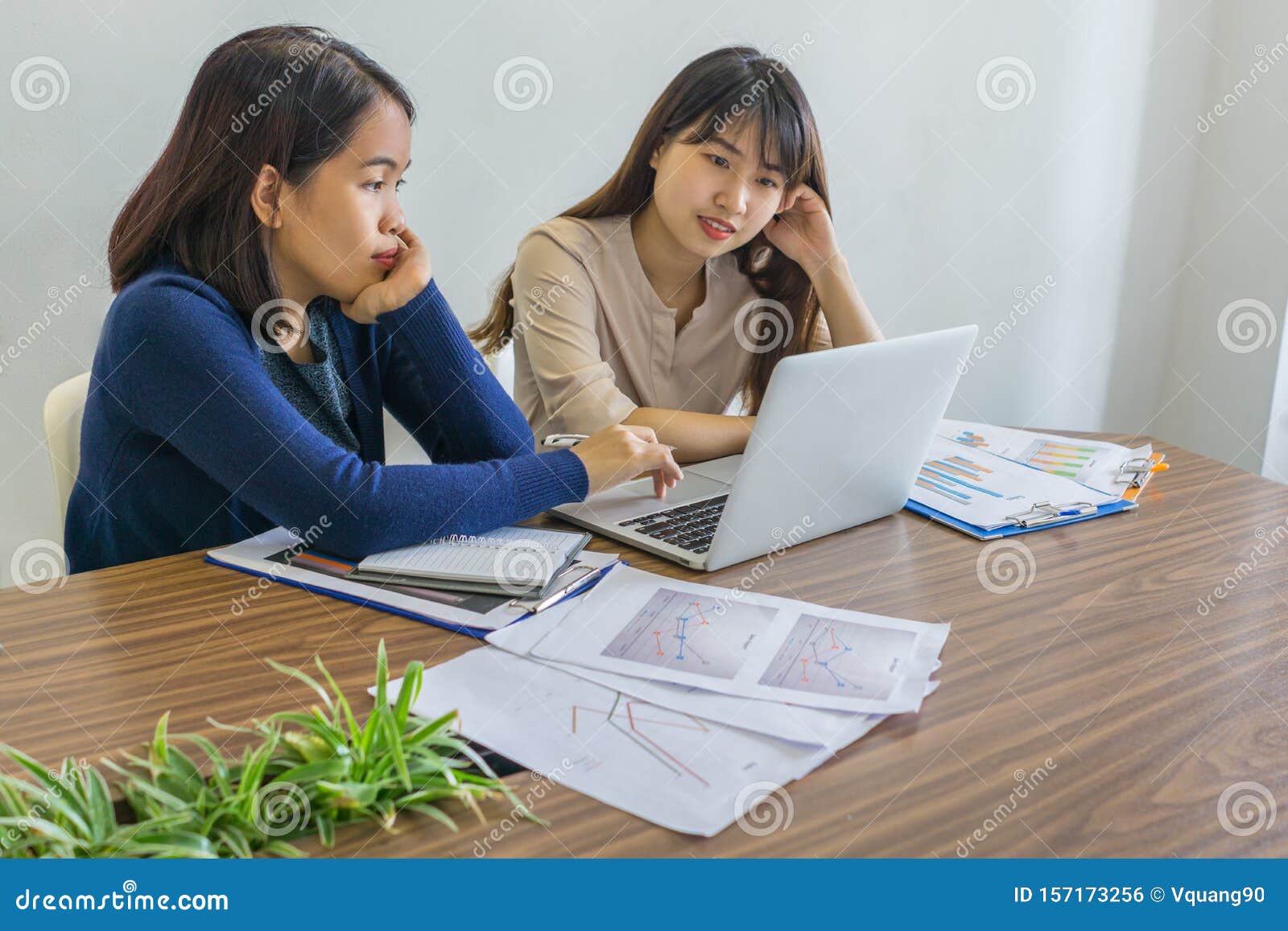 Two Asian Office Lady Using Computer and Having Business Discussion ...