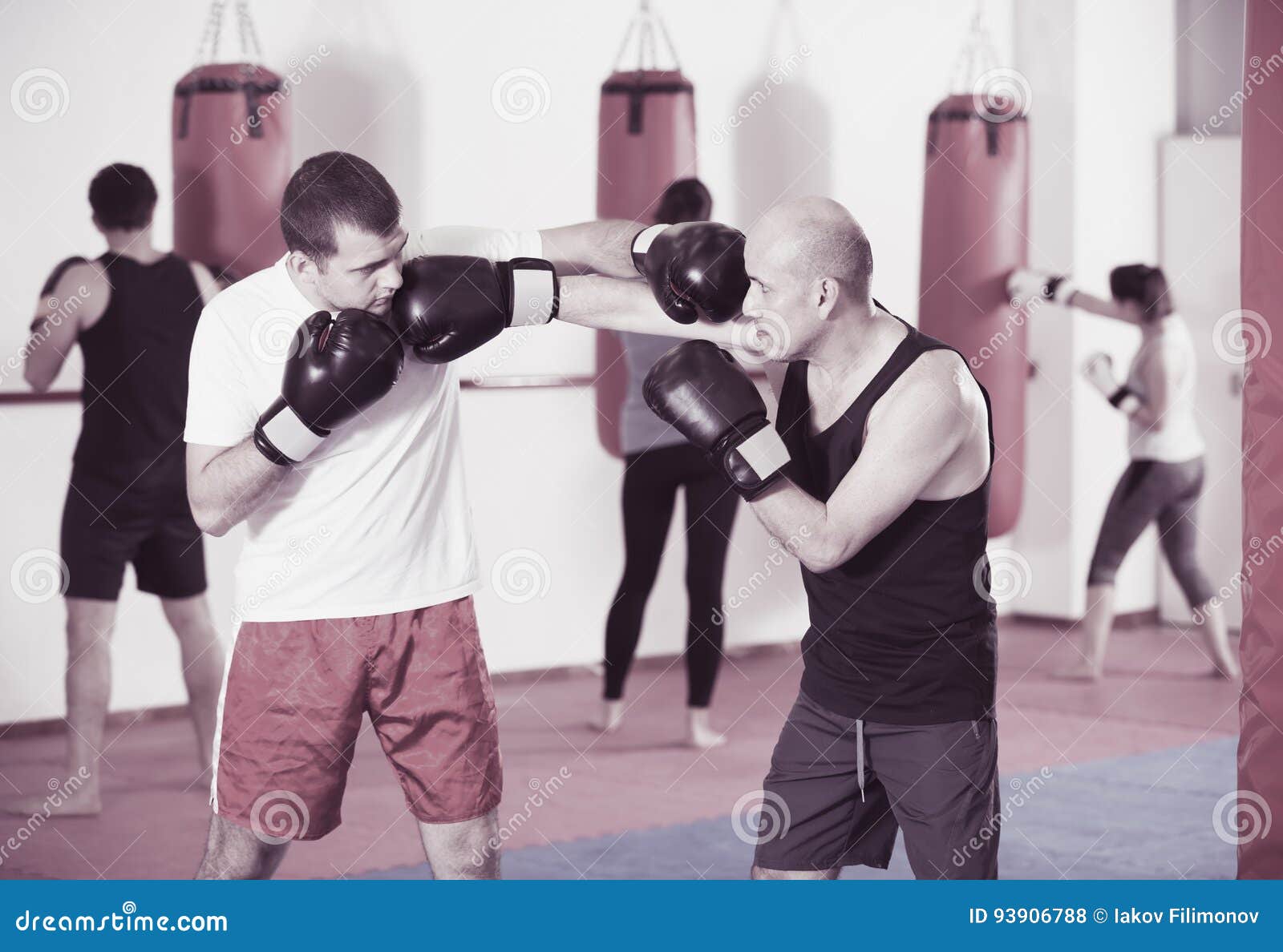 Two athlete men boxing stock photo. Image of pugilist - 93906788