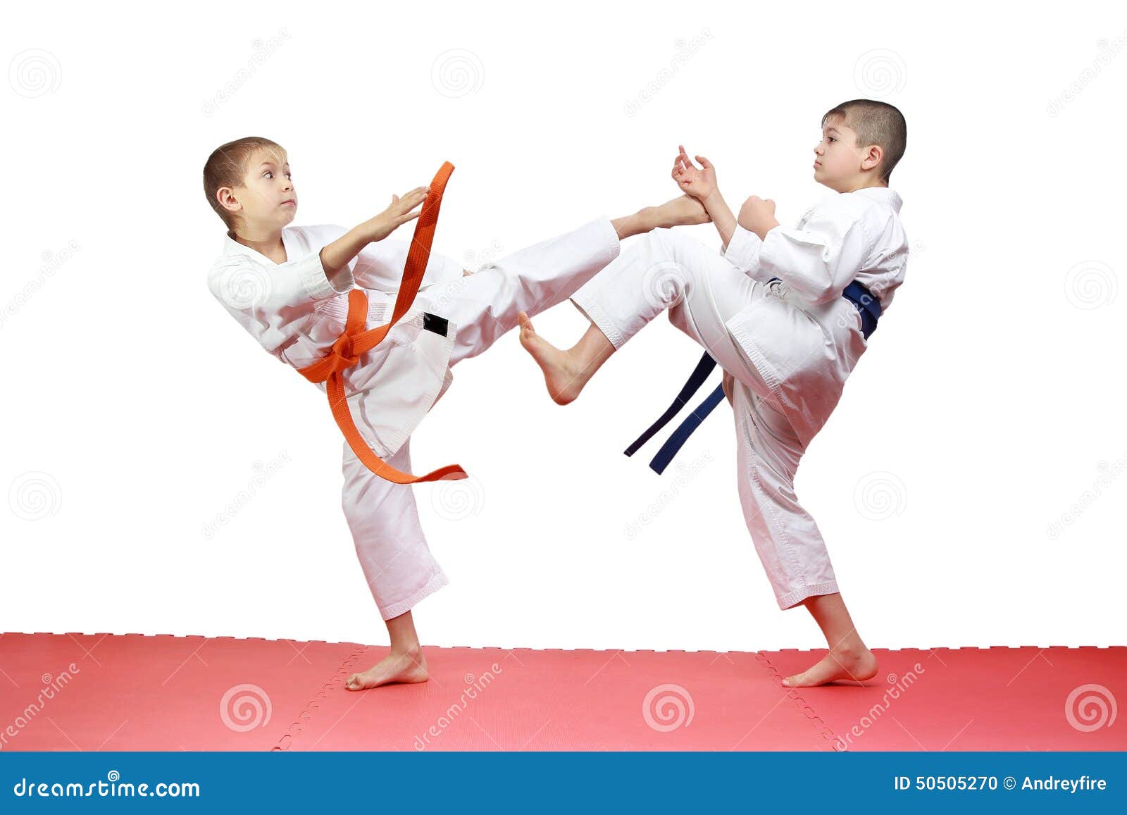 Two Athletes are Beating Kicks on the Mats Stock Photo - Image of ...