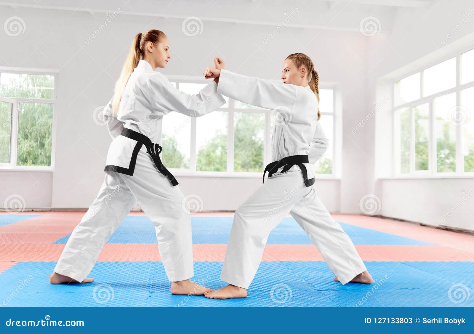 Two Athletic Girls Struggling Using Karate Techniques In Light Karate Class Stock Image Image