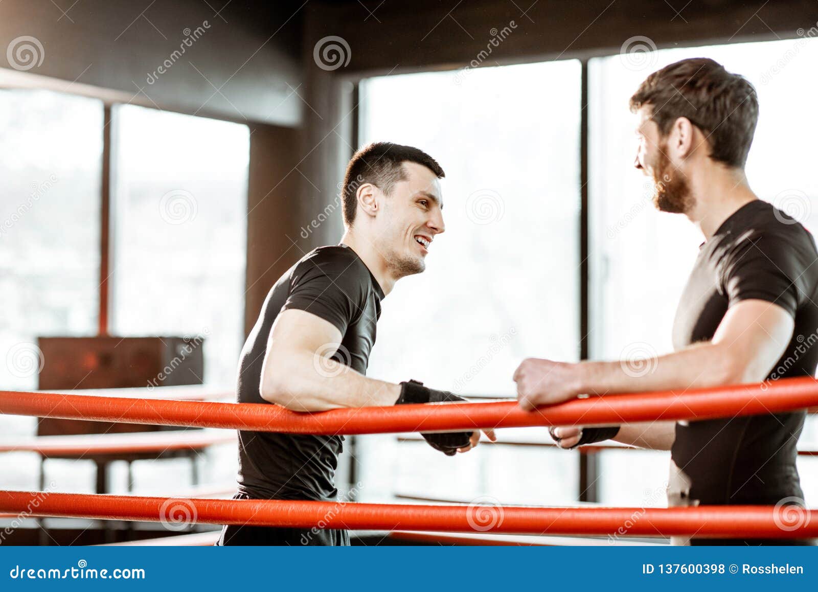 Men Having a Break on the Boxing Ring Stock Photo - Image of sunny ...
