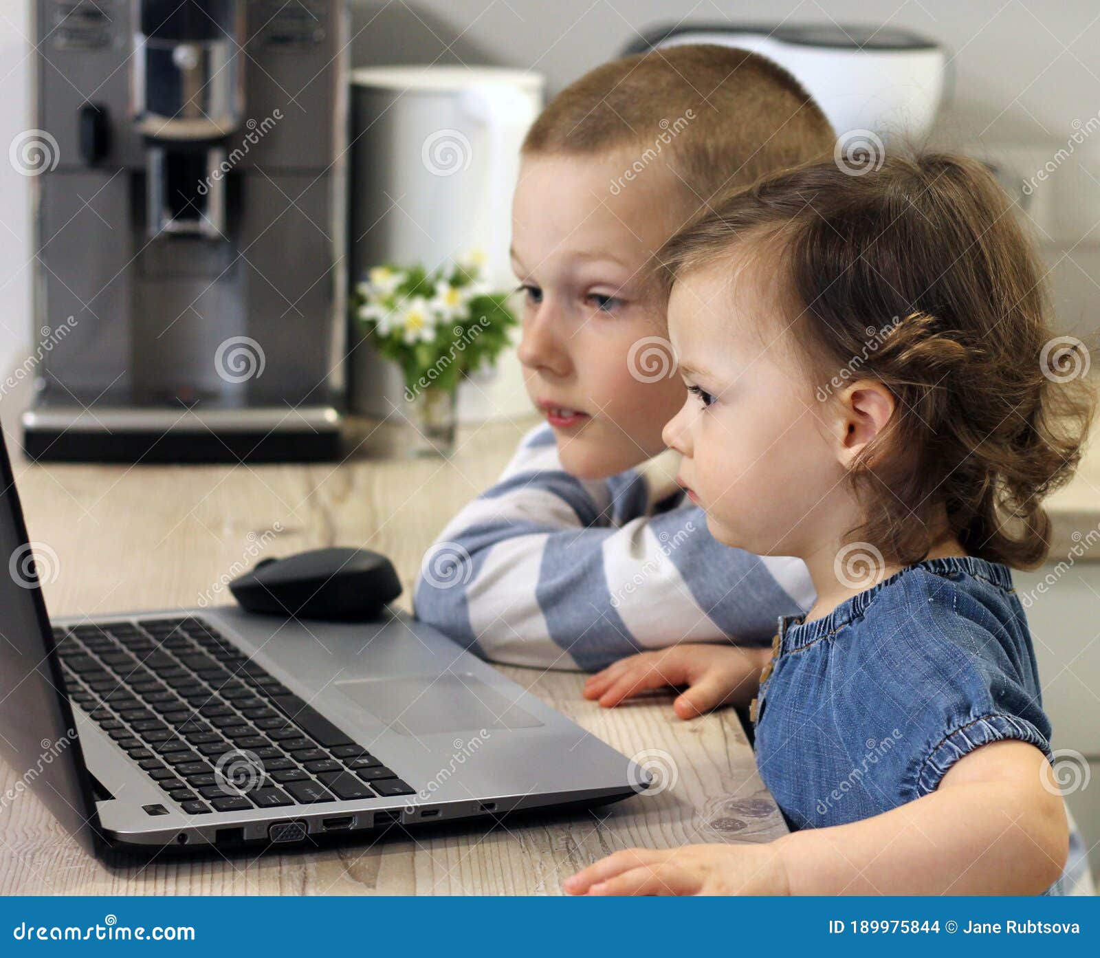 Two Attentive and Surprised Children are Sitting in the Kitchen and ...