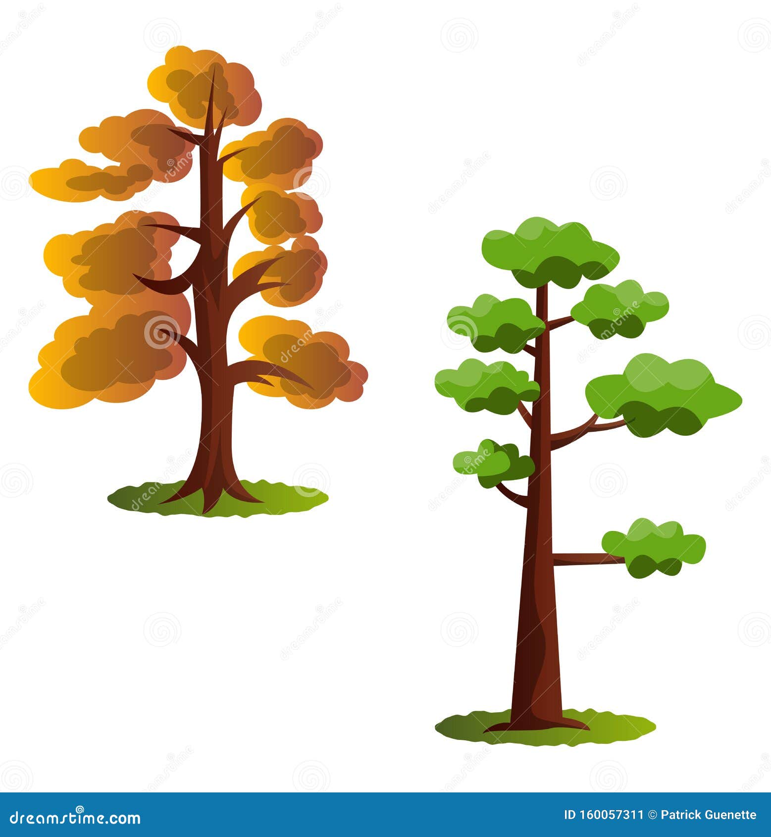Two Autumn Tree Vector Illustration Stock Vector - Illustration of ...