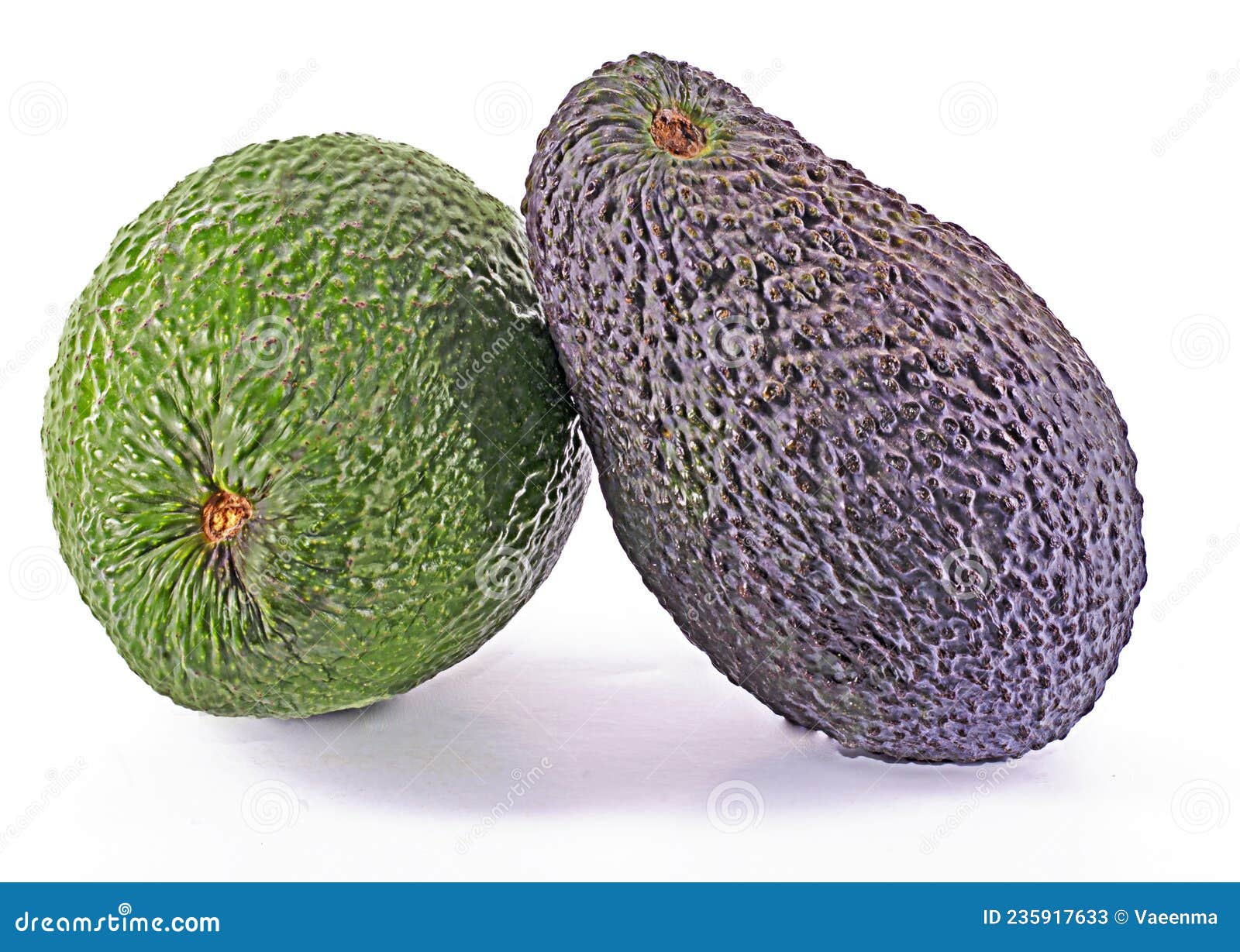 Two Avocado Isolated on White Stock Image - Image of white, ripe: 235917633