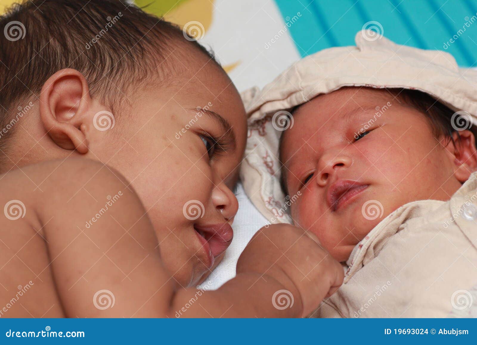 Two Baby Brothers Lying Together Stock Photo - Image of caring, horse ...