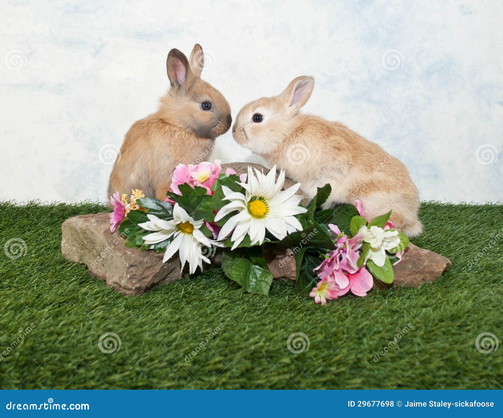 Baby Bunny Rabbits With Flowers