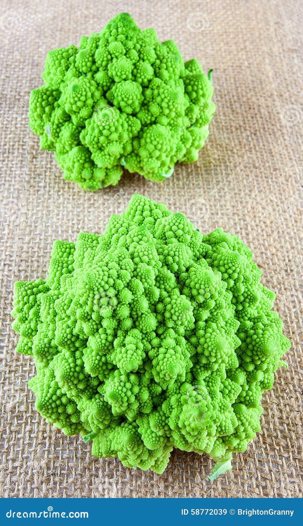 Two Baby Romanesco Cauliflowers Stock Image - Image of rustic, above ...