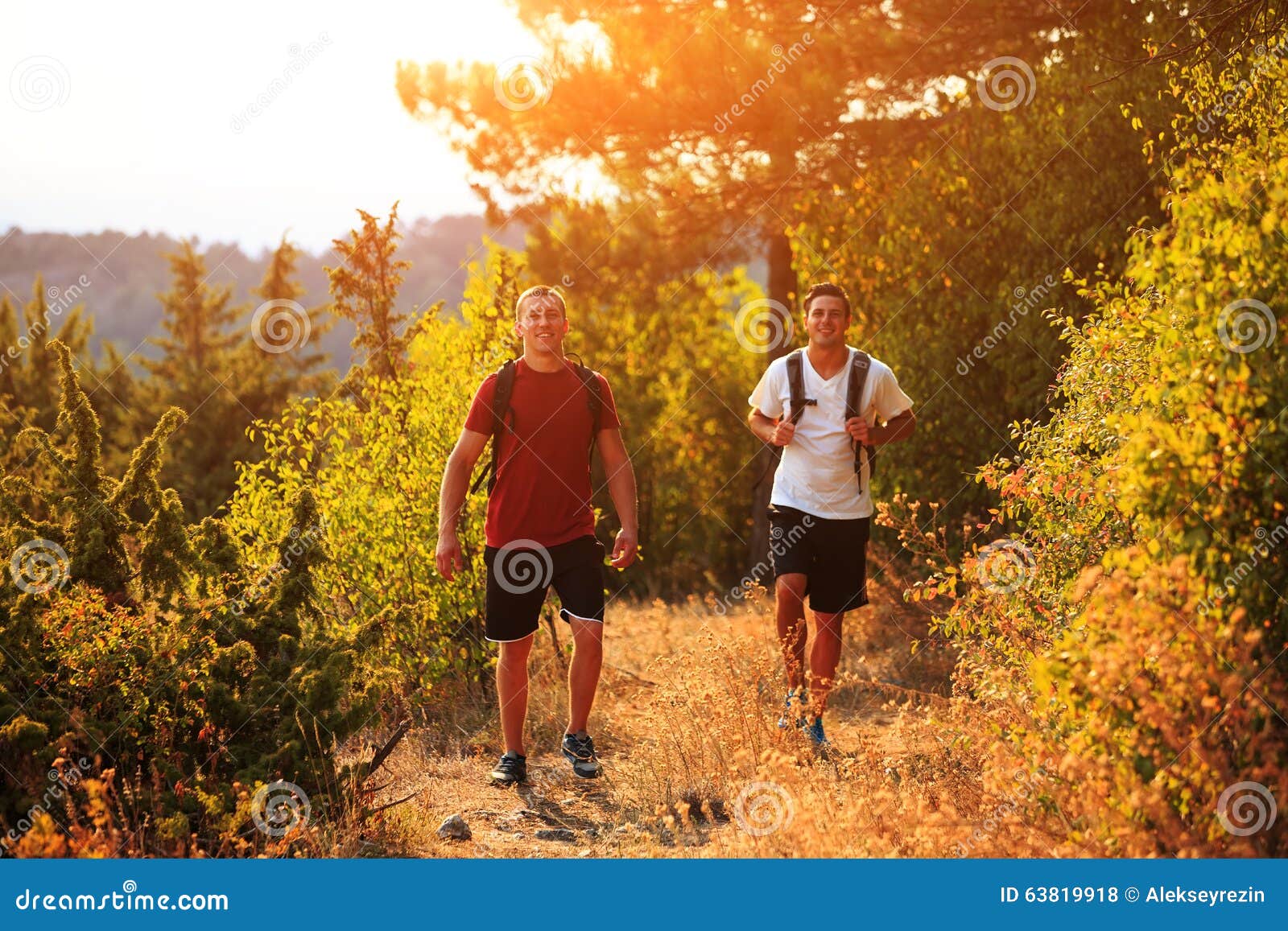Two Backpackers in the Summer Mountain Stock Photo - Image of group ...