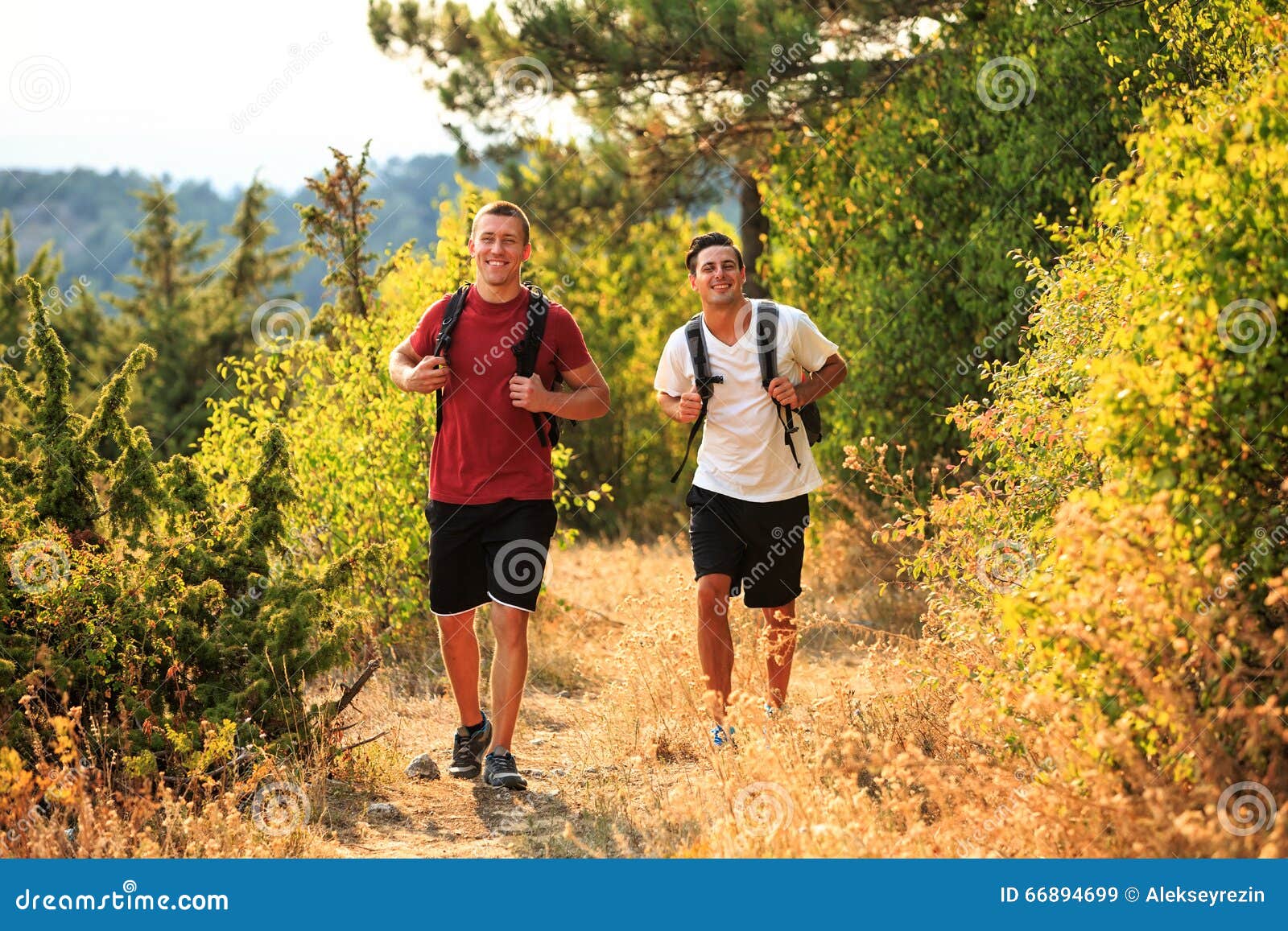 Two Backpackers in the Summer Mountain Stock Image - Image of adult ...