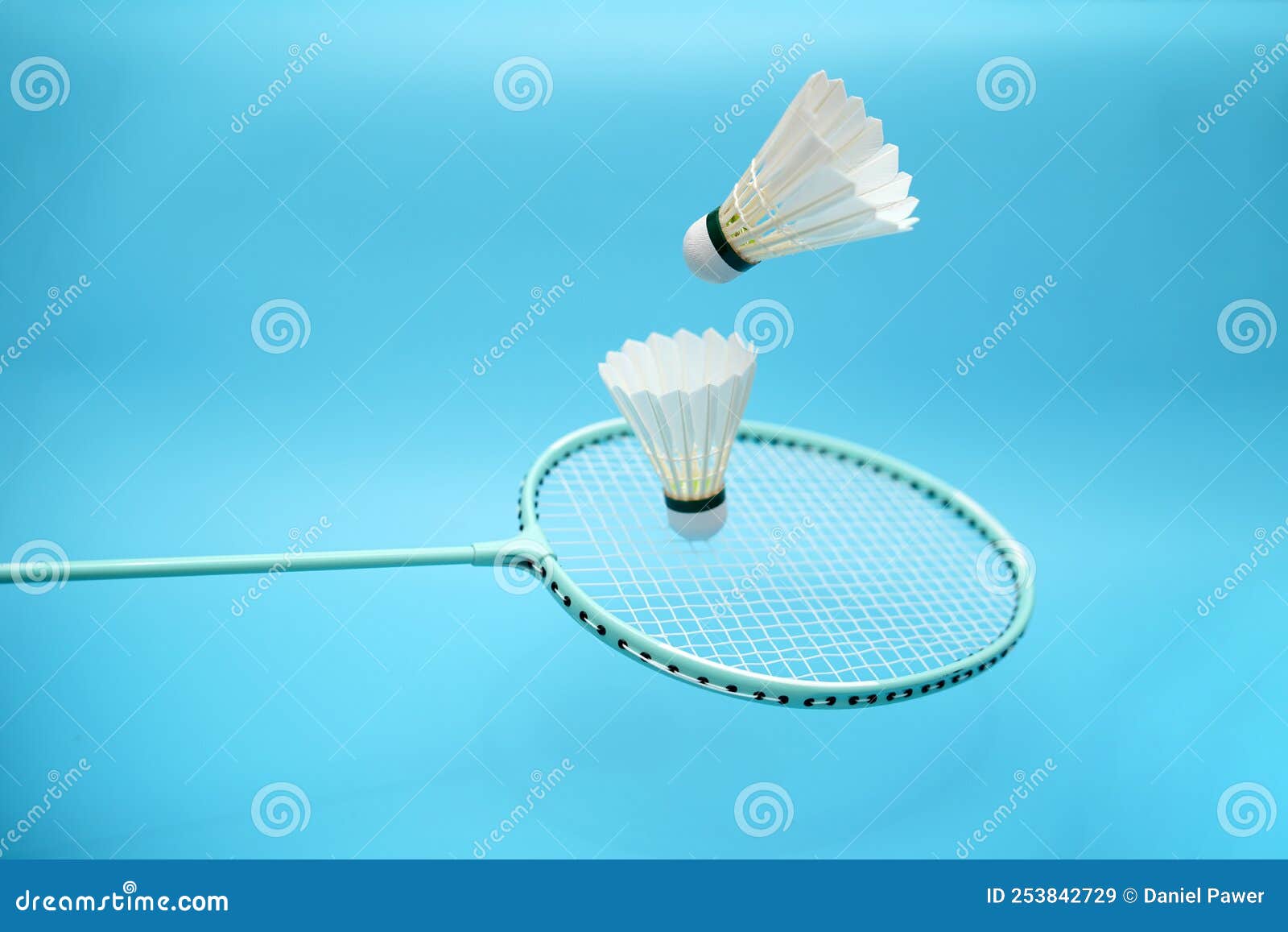 Two Badminton Shuttlecock and Badminton Racket on Blue Background Stock ...