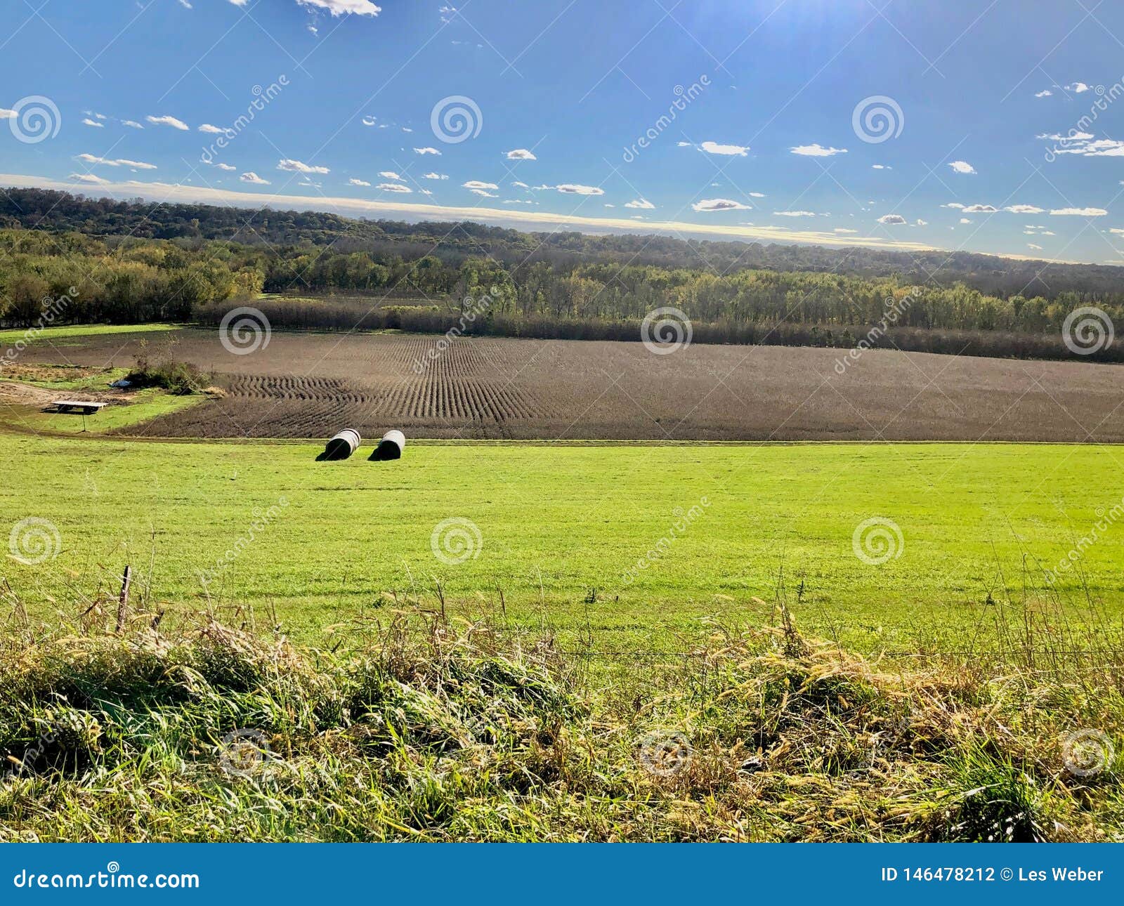 Two Bales of Hay stock photo. Image of feed, gold, agriculture - 146478212
